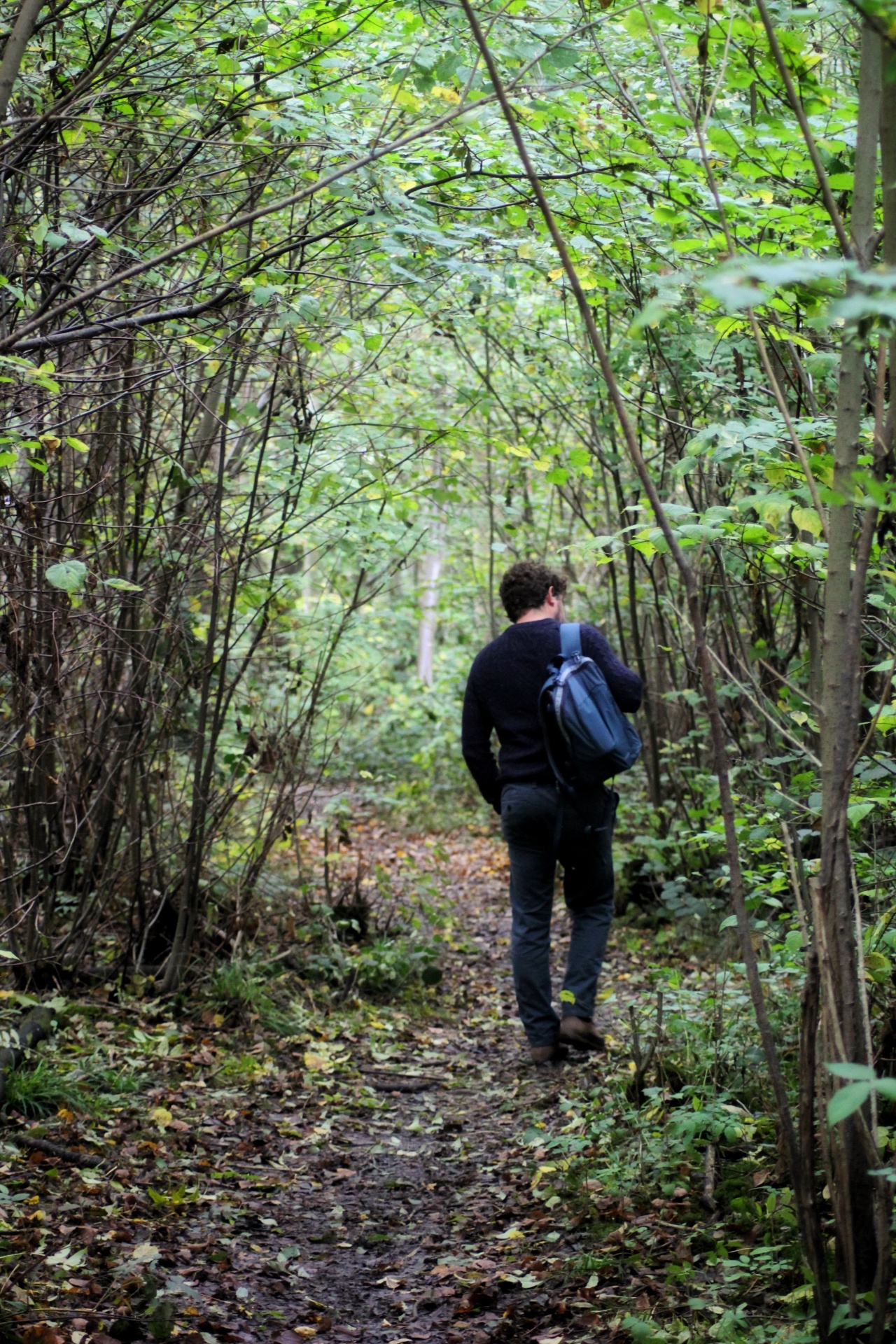 About Us - Little Earth Project